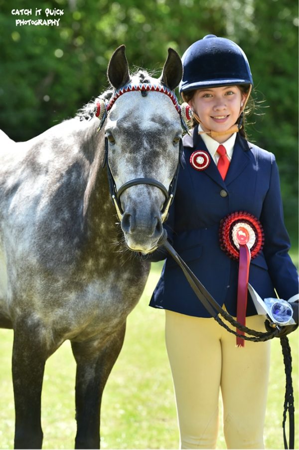 Dacorum and District Riding Club - Dacorum and District Riding Club