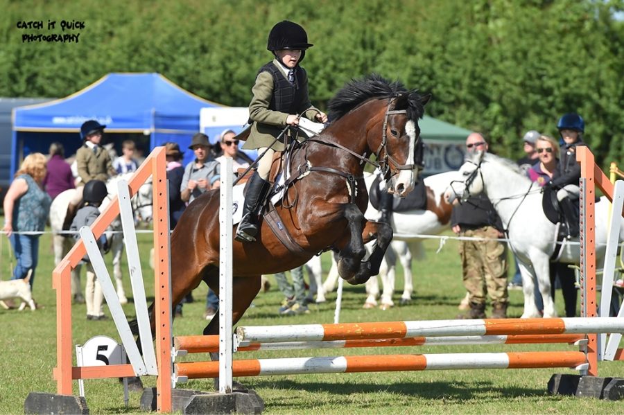 Dacorum and District Riding Club - Dacorum and District Riding Club
