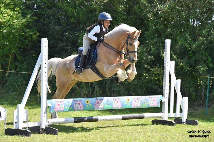 Dacorum and District Riding Club - Dacorum and District Riding Club