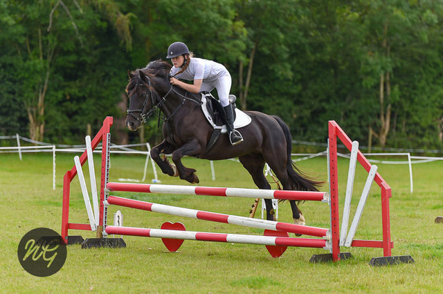 Dacorum and District Riding Club - Dacorum and District Riding Club